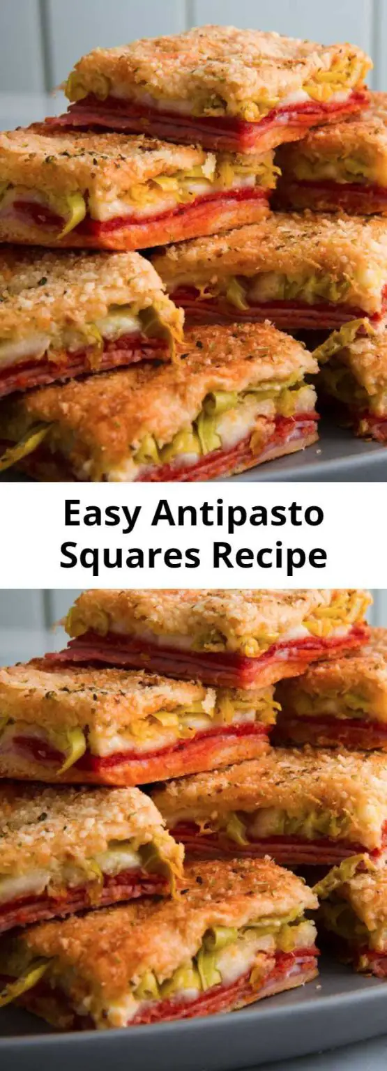 28 Appetizer Square Bites Recipes For Simple Party or Potluck Finger Food