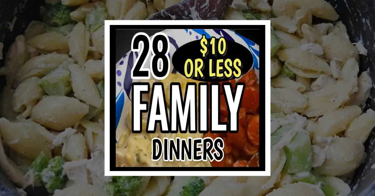 28 Thrifty Family Meals To Cook For 10 Dollars (Or Less!)