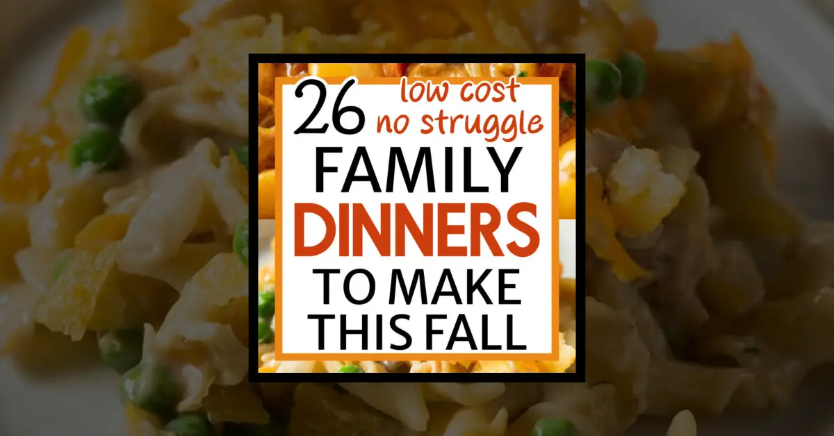28+ Lazy Easy Dinners You Can Make For CHEAP This Week
